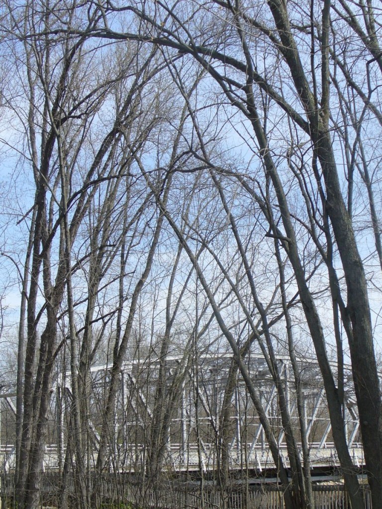 Park Department – Village of Suring, Oconto County, Wisconsin